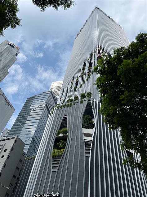 The Value Of Mentorship Insights On Growth Innovation And Positive