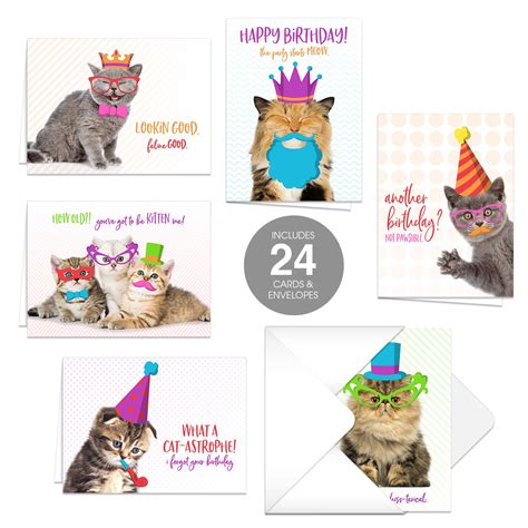Birthday Cat Cute
