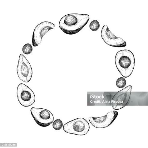 아보카도 Hass 그래픽 벡터 일러스트 레이 션 원형 프레임 또는 야채 얇게 썬 아보카도의 손으로 그린 스케치와 화환 열 대 과일의 식물 그림입니다 식품 포장 디자인용 조각