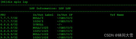 静态lsp与动态lsp实验解析(mpls)dis Mpls Lsp Csdn博客 静态lsp与动态lsp实验解析(mpls)dis Mpls Lsp Csdn博客