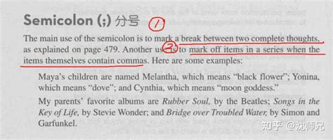 朋友，你会用分号吗 知乎