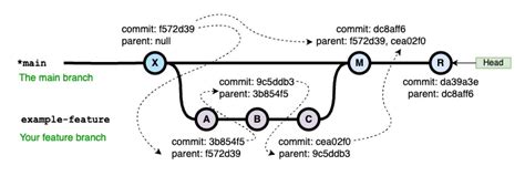 learning from mistakes revert reset the branch in right way