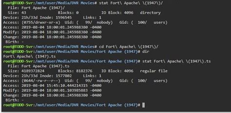 File Permissions Issue With Plex Docker [solved] General Support Unraid