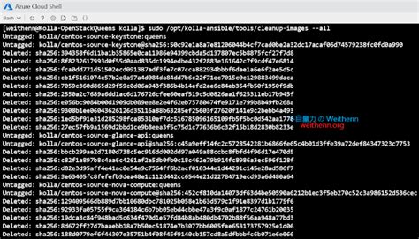 CentOS 透過 Kolla 安裝 OpenStack Queens 不自量力 の Weithenn