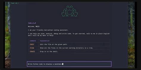 Announcing Toad A Universal Ui For Agentic Coding In The Terminal