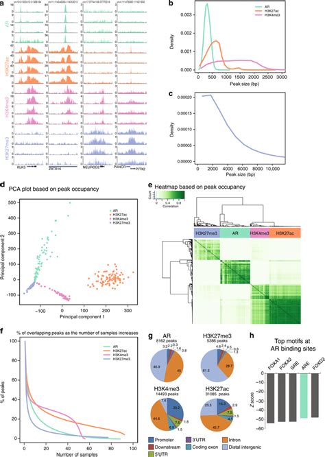 Characterization Of Chip Seq Data A Snapshots For Ar Green H3k27ac