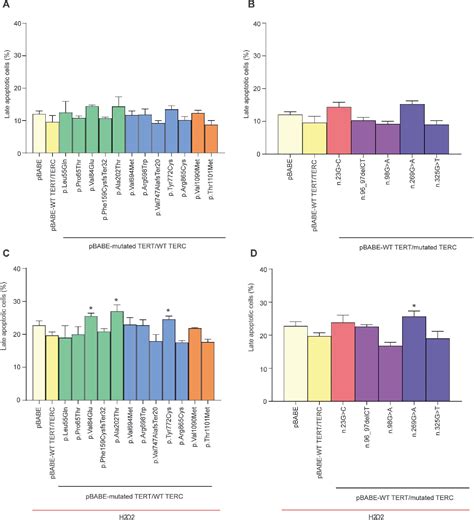 Figure 7 From Clinical Mutations In The Tert And Terc Genes Coding For