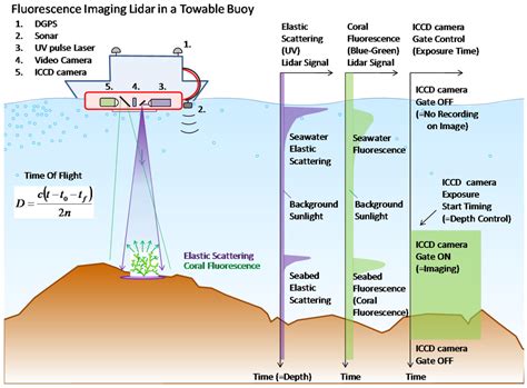 Remote Sensing Special Issue Remote Sensing For Coral Reef Monitoring