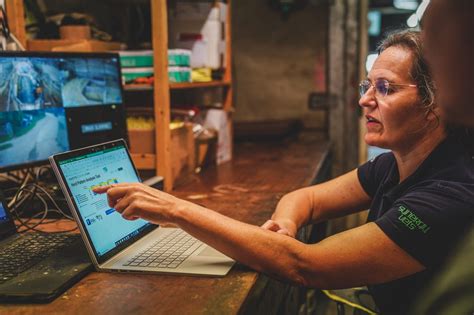 Sheep Scab What You Need To Know Synergy Farm Health