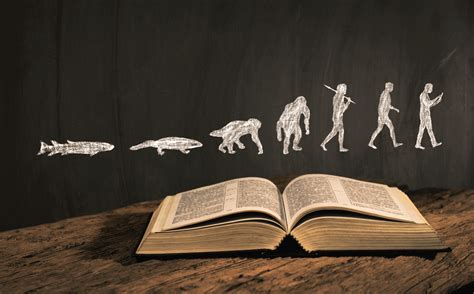 Theistic Evolution Answers Research Journal