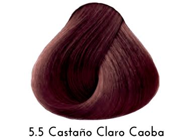 Hidracolor Tinte Tono 5 5 Castaño Claro Caoba Tubo 90g