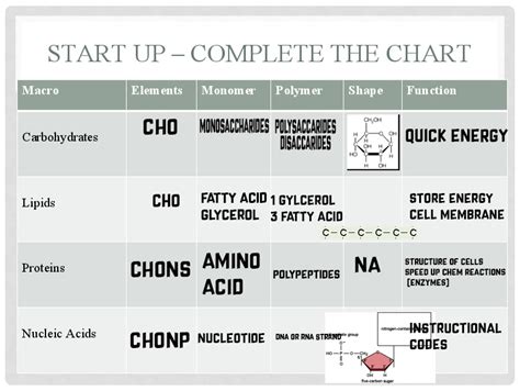 Science Diagram Quizlet