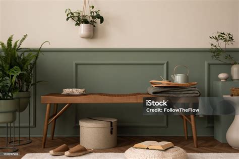 나무 벤치 화분에 있는 식물 치장 벽토가 있는 벽 책 갈색 슬리퍼 둥근 상자 및 개인 액세서리가 있는 아늑한 거실 인테리어의 미니멀한 구성 가정 장식 템플릿입니다 0명에