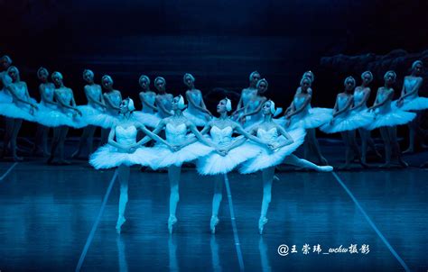 上海芭蕾舞团6月16日晚在国家大剧院演出第101场豪华版“天鹅湖” 国家大剧院 天鹅湖 上海芭蕾舞团 新浪新闻