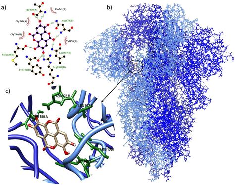 Figure 1 From Molecular Docking And Adme Tox Profiling Of Moringa