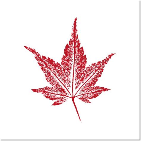 Japanese Maple Leaf Acer Palmatum By Nikokosmos Maple Print Prints Art Prints