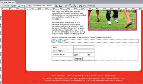 Styling Forms With CSS