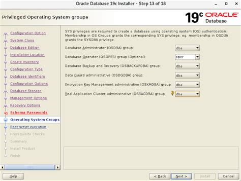 How To Install Oracle 19c Database On Oel 79
