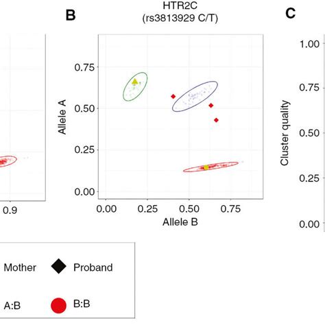 A B Scatter Plots For Snp Genotyping Results With Mismatched Patient