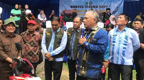 Kontes Sapi Ternak Dan Panen Pedet Turut Meriahkan Hut Ke 63 Konawe