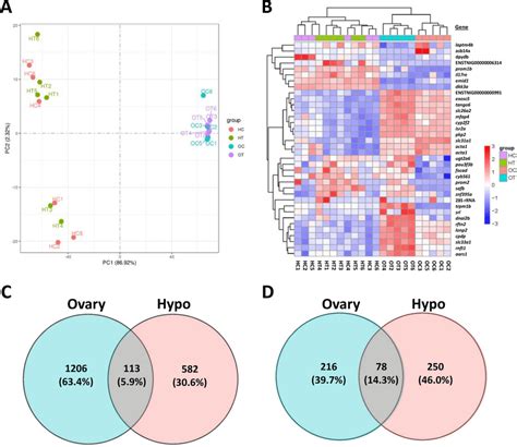 Principal Component Analysis A Of Transcriptomes In Ovary Control