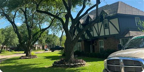 Deep Root Fertilizing Benefits For Healthier Trees