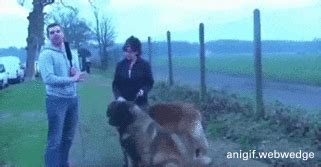 Anime2 インタビュー中に交尾を始めちゃうわんこ