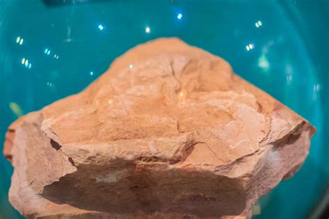 셰 일 광산 및 산업 토사에서 미네랄 돌 견본 샬레는 세분화 된 분해 퇴적암 진흙 점토 광물의 부스러기의 혼합의 구성 이다 광물질에 대한 스톡 사진 및 기타 이미지 Istock