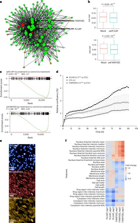 Single Cell Rna Sequencing Reveals Sex Differences In The Subcellular
