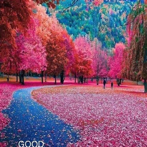 I Dont Understand Why They Have To Come To Uk When They Dont Understand