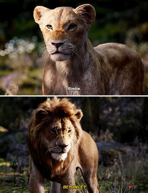 Funny Lion King Memes