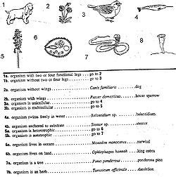 Dichotomous Keys SignWiki