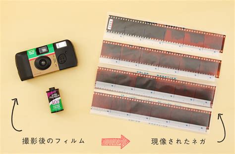 フィルムのあれこれ！【35mmフィルムの現像プラン編】 Wonder Photo Shop（ワンダーフォトショップ）
