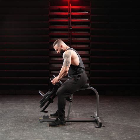 Plate Loaded Lateral Raise Hammer Strength Outlet