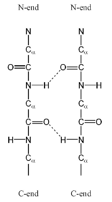 4 Antiparallel Beta Sheet Structure Left Side And Parallel Beta
