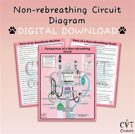 Veterinary Anesthesia Non Rebreathing Circuit At Jennifer Church Blog