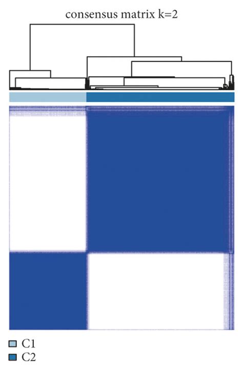 Consensus Clustering Analysis Based On The Prognosis On Frgs In Hcc Download Scientific