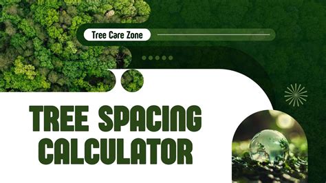 Tree Spacing Calculator For Perfect Planting