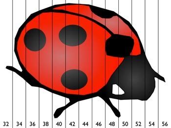 Buggy Number Order Skip Counting Puzzles By Made By Maggie TpT