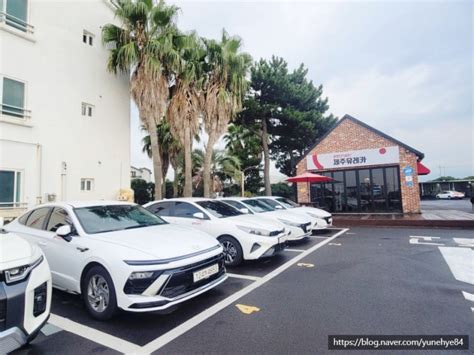제주렌트카 제주여행 렌트카 가능한 제주속으로 유레카 네이버 블로그