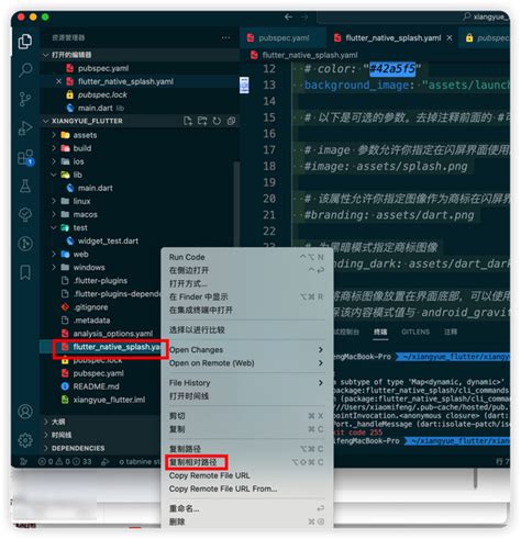 flutter的flutter native splash库最全最实用使用说明 知乎