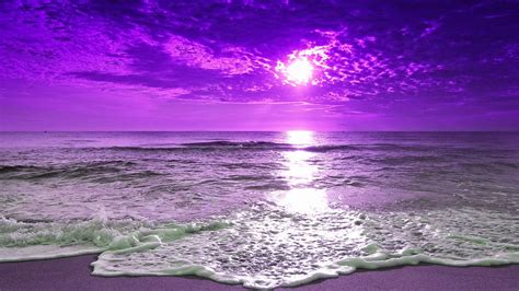 Purple Beach Sunrise