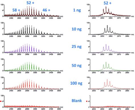 High Sensitivity Intact Mass Analysis Of Antibodies Igg1 Using Ionkey