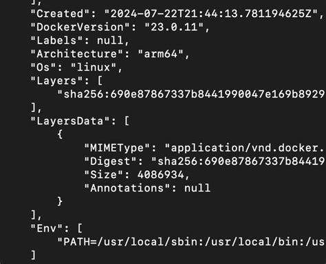 Using Skopeo For Container Image Inspection And Transfer Geeksforgeeks