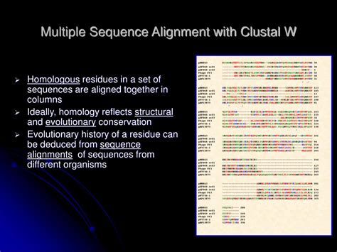 Ppt Dna Sequence Analysis Powerpoint Presentation Free Download Id 3350166