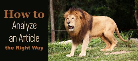 How To Analyze An Article The Right Way Kibin Blog