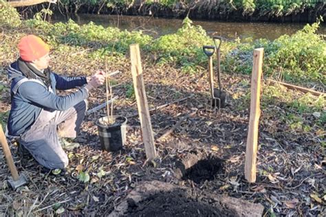 Rare And Threatened Tree Species Given New Lease Of Life Wandsworth