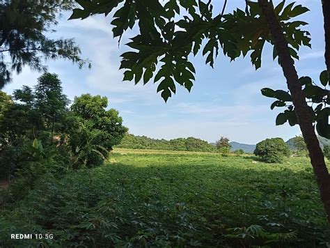 Review Redmi G G Droidsans