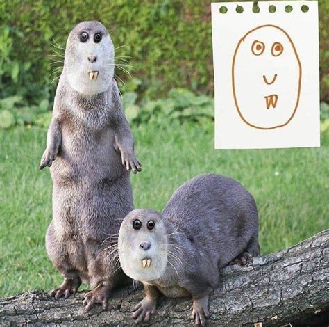 Хэрвээ хүүхдүүдийн зурсан зураг бодит амьдрал дээр амилбал