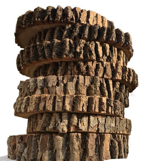 Tree Circles Kollective Specialty Rentals